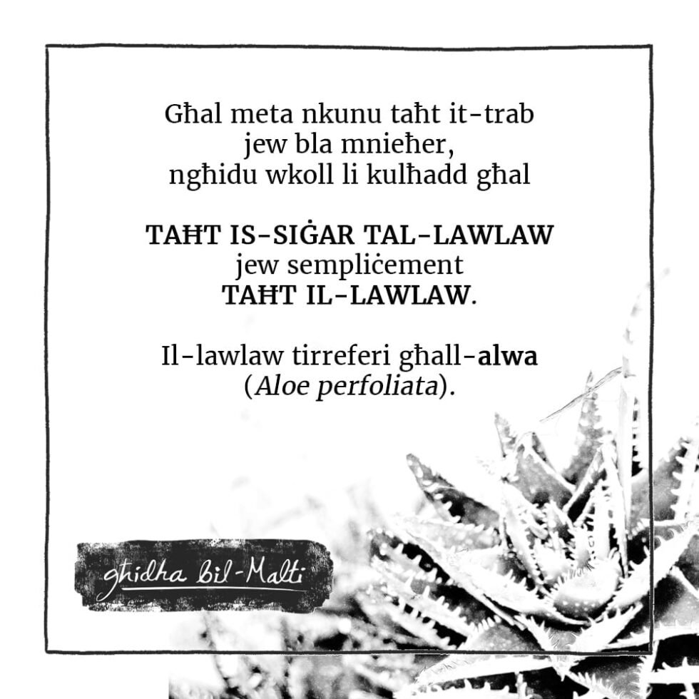 Qwiel u idjomi | Għidha bil-Malti