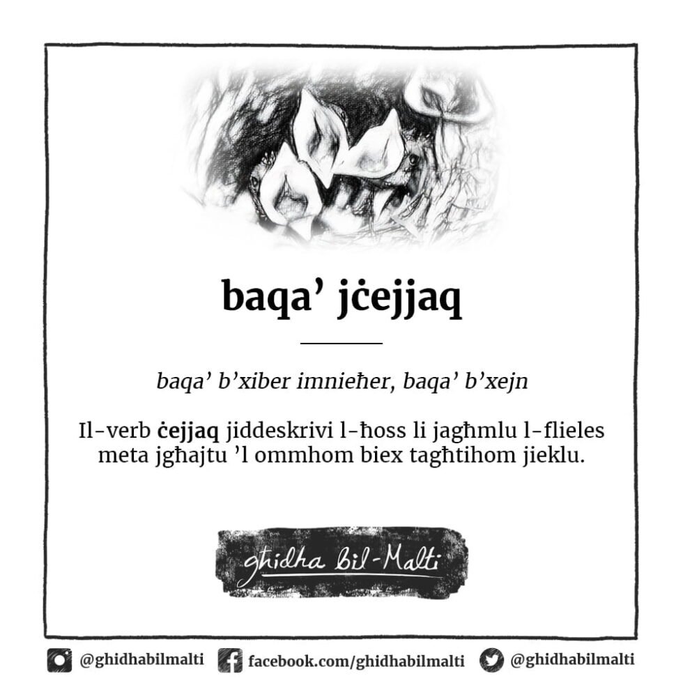 Qwiel u idjomi | Għidha bil-Malti